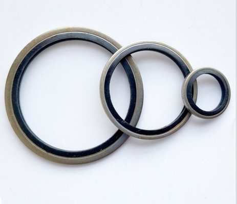 Industry 30mm Bonded Sealing Washers Stainless Steel Silver Color Chrome Plated Finish