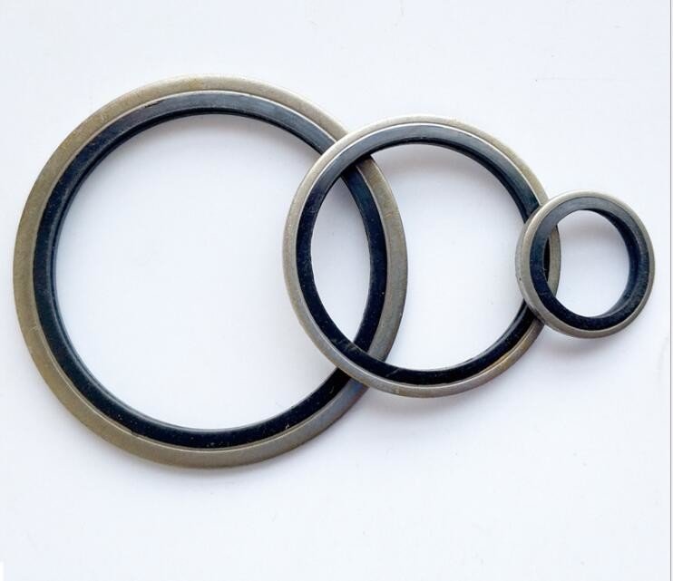 Industry 30mm Bonded Sealing Washers Stainless Steel Silver Color Chrome Plated Finish