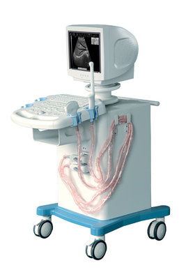 Mobile Medical Ultrasound Machine With Trolley Pregancy Ultrasonic Scanner