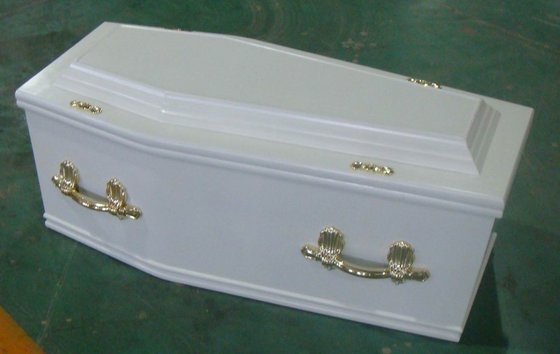 Eco Friendly  Dismountable Cardboard Pet Coffins for Small Animals
