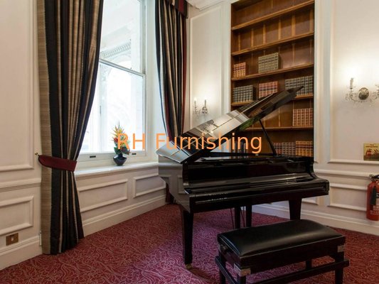 Negeri Sabah luxury star hotel bedroom furniture by wood casagood furniture and Upholstered chair with lesisure sofa supplier