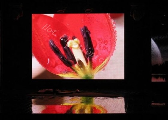 Multifunctional Indoor Led Display P1.25 , Small Pixel Pitch LED Wall Rental