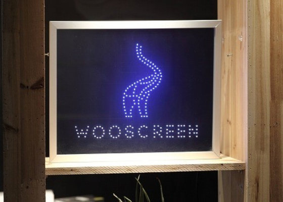 Super Small Lamp Transparent LED Display Fit Window / Glass Installation