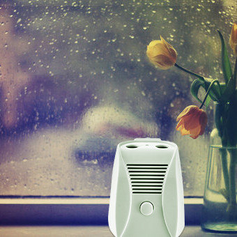 Mini DC 6V Home Electronic Air Purifier With Dual Ion And Ozone Function