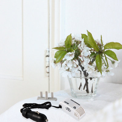 DC 12V Germicidal Quiet Car Fresh Air Purifier Anion Generating System