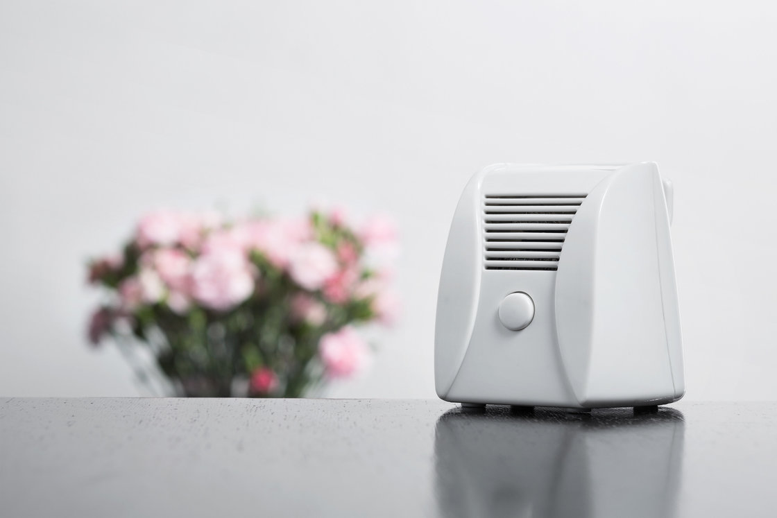 Indoor Small white Electronic Air Purifier Ozone & Anions Output