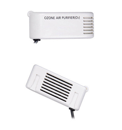 Purify Lightweight Ozone Negative Ionizer Air Purifier Low Temperature Rise OZ100