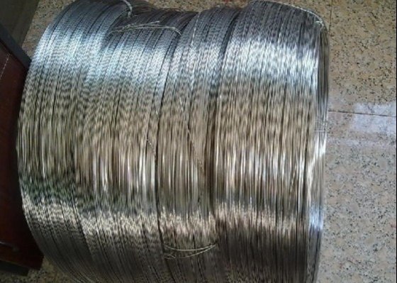 0.06mm SS Wire