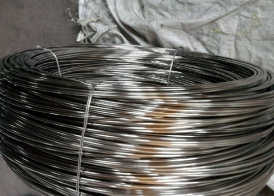 0.06mm SS Wire