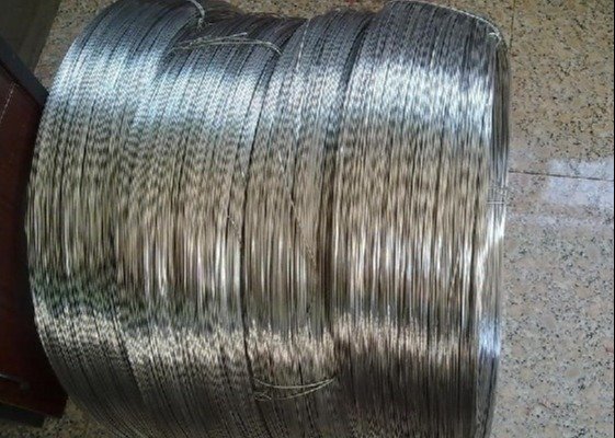 0.06mm SS Wire