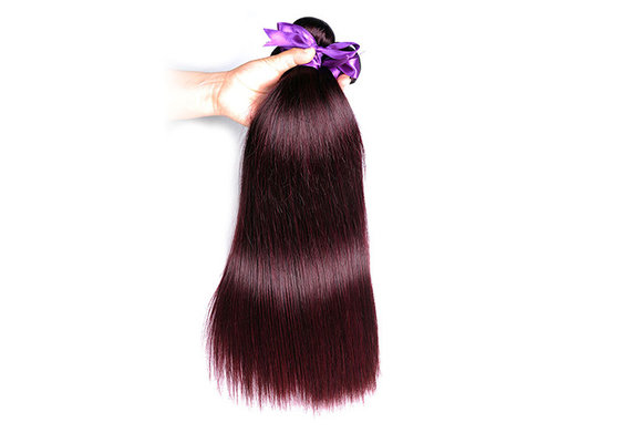 Pretty Remy Brazilian Straight Hair Bundles With Closure 10 - 26 Inches