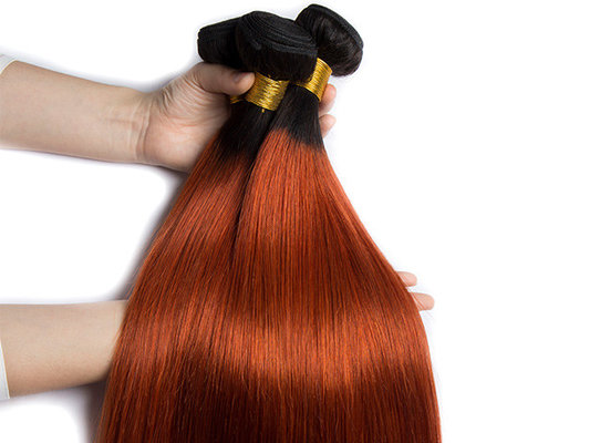 Capelli di trama di Ombre di bellezza di colore del 1B /350 Ombre del tessuto diritto dei capelli umani di QueenLife