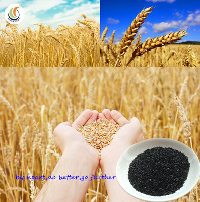 Super Potassium Humate Shiny Flakes Best seller