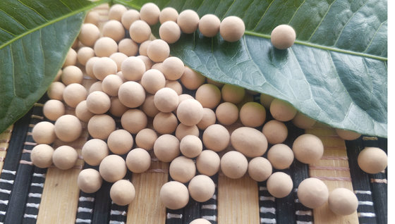 Zeolite/MCM 41 Al2O3 SiO2