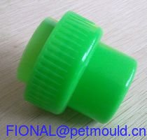 China plastic cap mould supplier