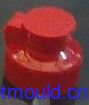 China flip top cap mold supplier