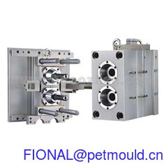 China  5 gallon preform mould （2 cavity） supplier