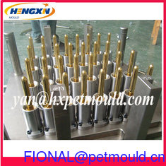 China cores for preform mold supplier