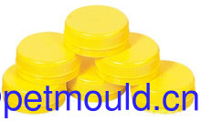 38mm hot runner/ cold runner cap mould supplier