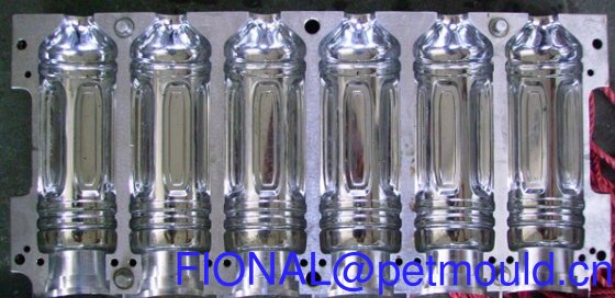 6 cavity pet  bottle mould supplier