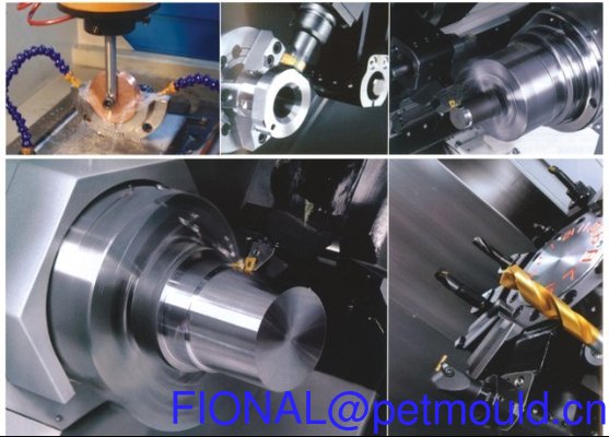 Fully Automatic Bottle Blow Moulding Machine supplier