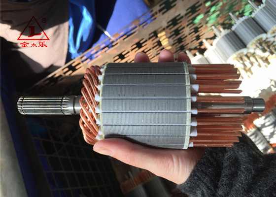 Rotor Electric Motor Commutator Armature 500W / 1.6KW / 2.0KW 3000RPM Hydraulic Parts