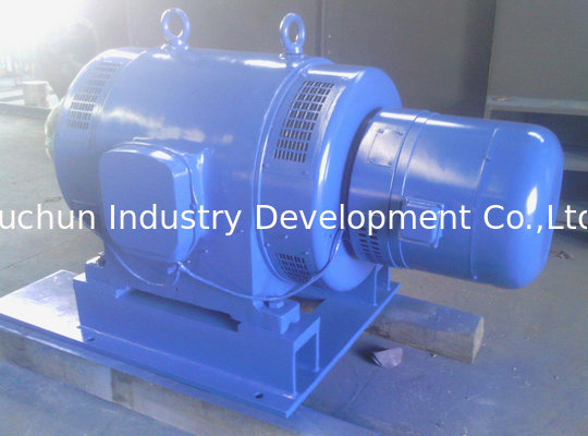 Mini Tubrine hydraulique micro 100kW synchronisent le diamètre de coureur de 400V 40cm