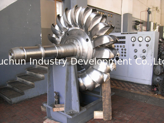 turbine hydraulique d'énergie hydraulique de coureur de turbine du ³ /s Pelton de la tête 1.6m de 16MW 300m