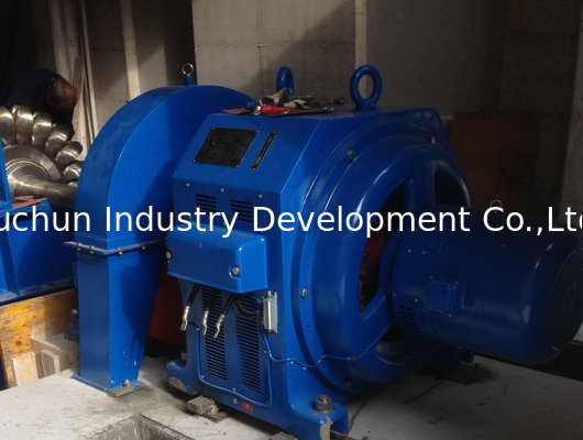 Générateurs électriques hydrauliques 250kW de bec de petite turbine simple de Pelton