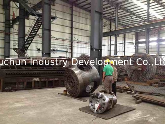 Turbine hydraulique verticale 100KW - 30MW de Kaplan pour la centrale