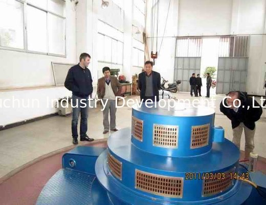 La turbine hydraulique de Kaplan a fixé/lame réglable avec le générateur et le régulateur de vitesse