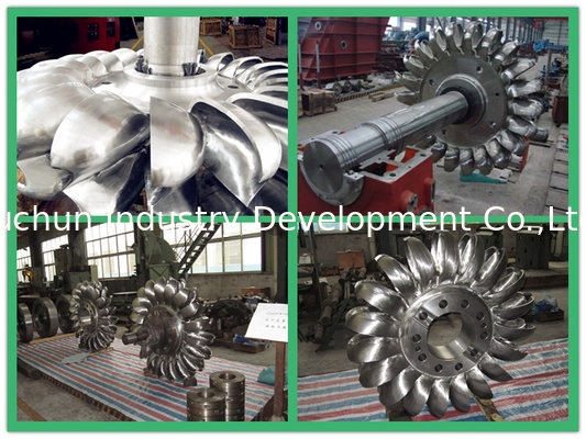 Coureur vertical/horizontal de turbine hydraulique de Pelton d'acier inoxydable, de turbine