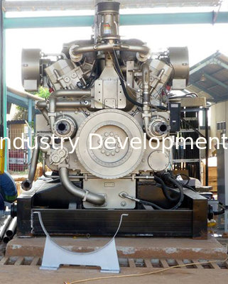 Cosse de riz, tige 350kw durable, forêt fiable, générateurs de culture de biomasse d'agriculture