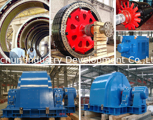 Générateur à grande vitesse d'énergie hydraulique, 0.1MW - turbine électrique de l'eau 45MW verticale