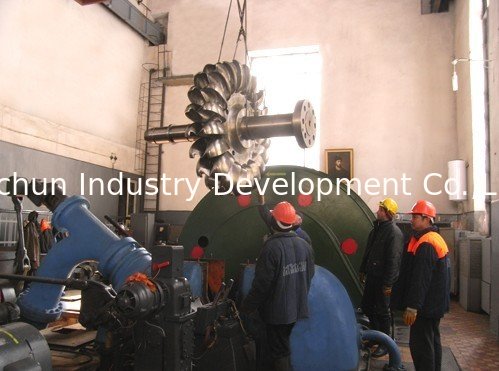 Générateur de turbine hydraulique d'Ectric, unité de turbine de 4000kw Pelton avec le rendement élevé