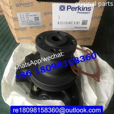 China U5MW0181 Perkins Water Pump for Forklift Linde U5MW0106/genuine engine parts supplier