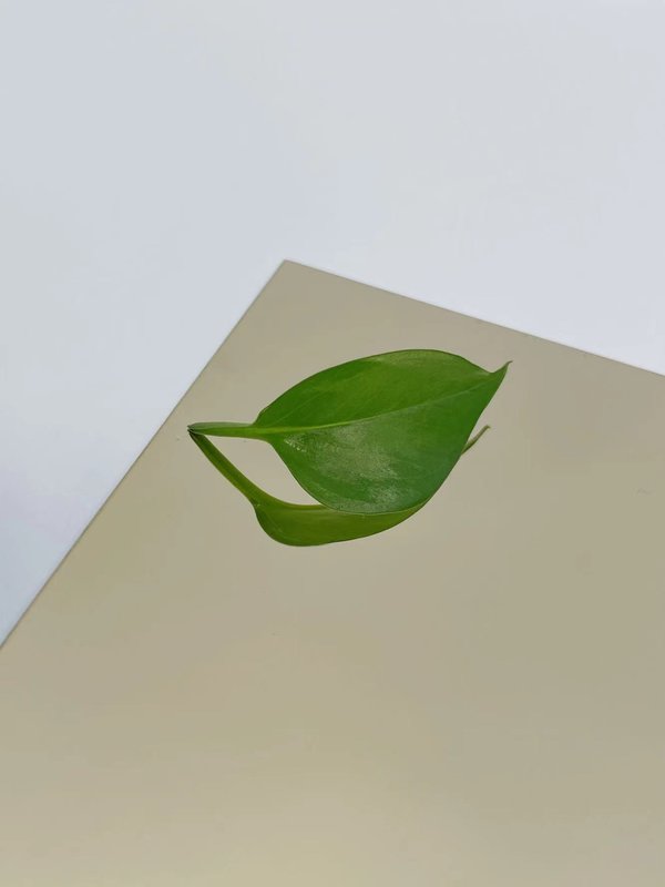 PVD brass coated Hairline stainless steel sheet Gold Pvd Stainless Steel Decorative Stainless Steel Sheets