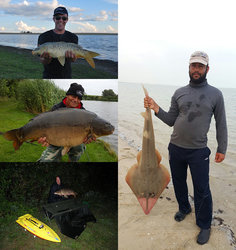 Qinyang Elegant Fishing Tackle R&D Co.,Ltd