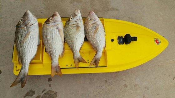 Sea Fishing Rod Good Partner HYZ-100G GPS Tracking RC Bait Boat supplier