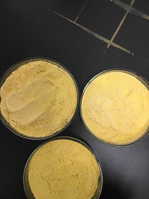 ferrous chloride  dihydrate