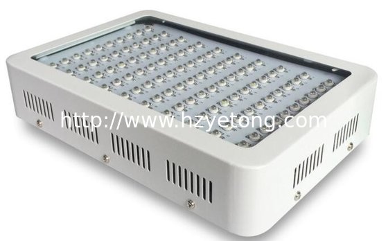 Plant Grow Light