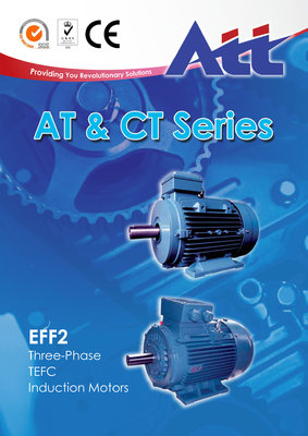 ABB, SIEMENS, WEG, TECO, MATATHON, ATT, BROOK,  Three phase motor