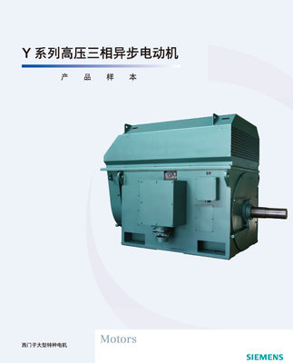 ABB, SIEMENS, WEG, TECO, MATATHON, ATT, BROOK,  Three phase motor