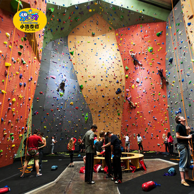 Outdoor Adult / Kids Rock Climbing Wall High Strength Frame Non - Toxic