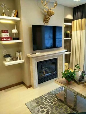 Contemporary Wood Burners , Indoor Wood Burning Fireplace Inserts With Marble