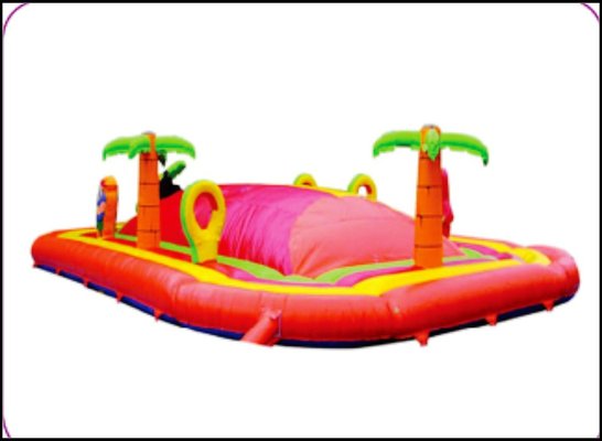 Attractive Inflatable Bouncy House Plant Theme Bounce Castle with CE, TUV Certificates Approval