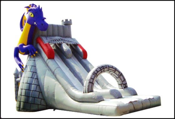 Cheap Annimal Inflatable Christmas Amusement Park Jumping Bouncer Trampoline