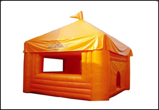 2017 Hot Style Pleasure Exercise Luxury Spacious Jumping Castle