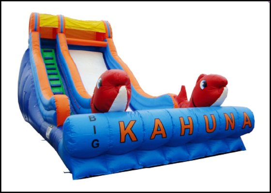 Attractive Colourful Inflatable Kids Fun Game for Park Hot Sale New Design Inflatable Slide