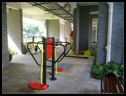Factory Directly Supply High Quality Gym Equipment Fitness Climing Ladder